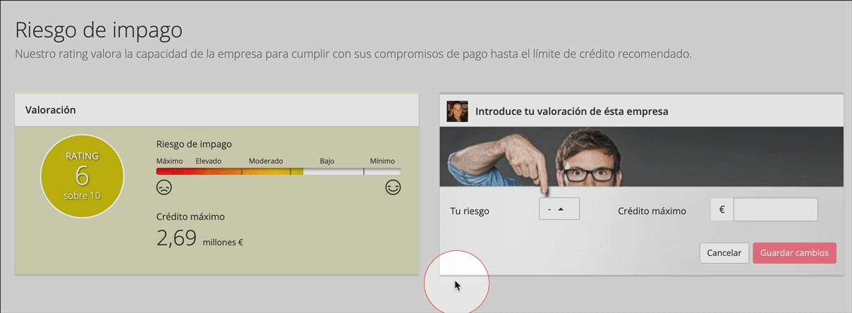 Relatório de um empresário – Insight View