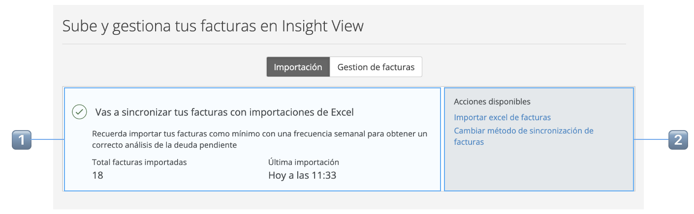 Invoice management – Insight View